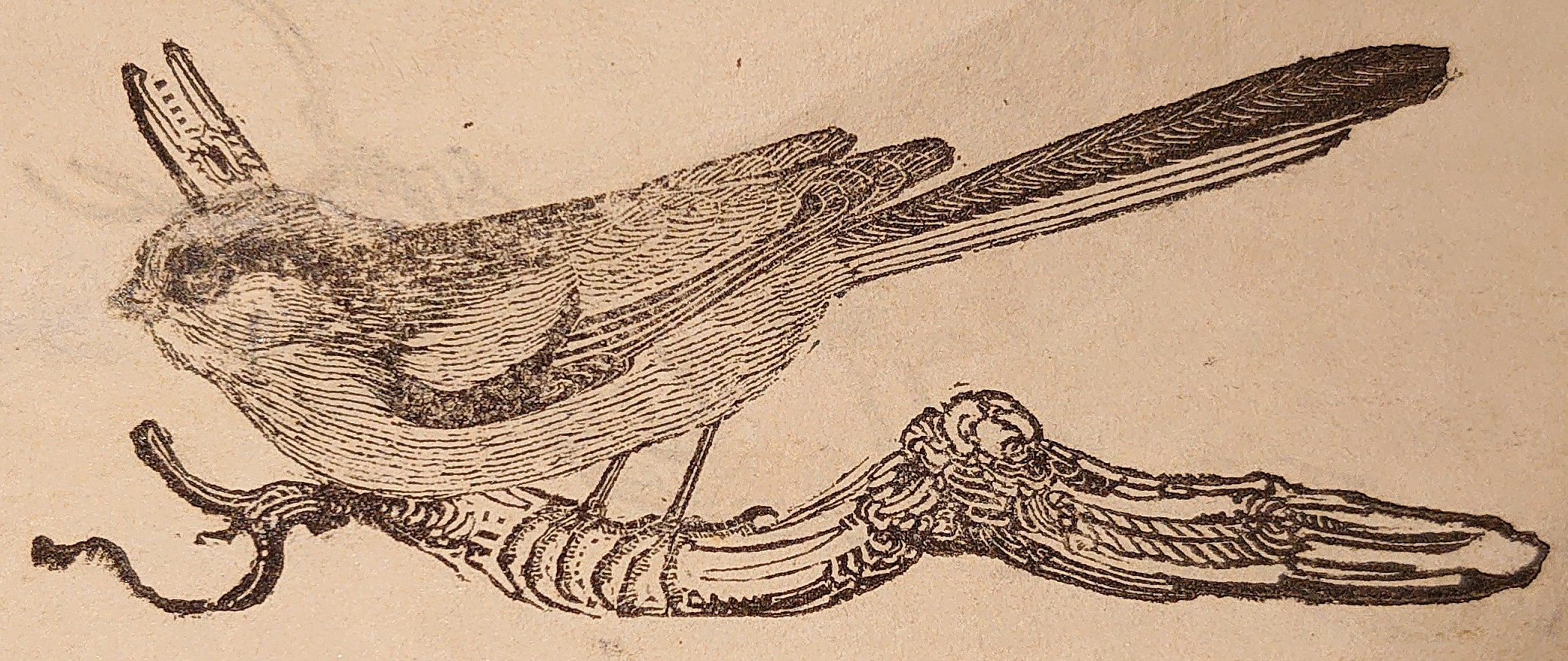 The Tit-Mouse, pp.179-180. – Random Scottish History