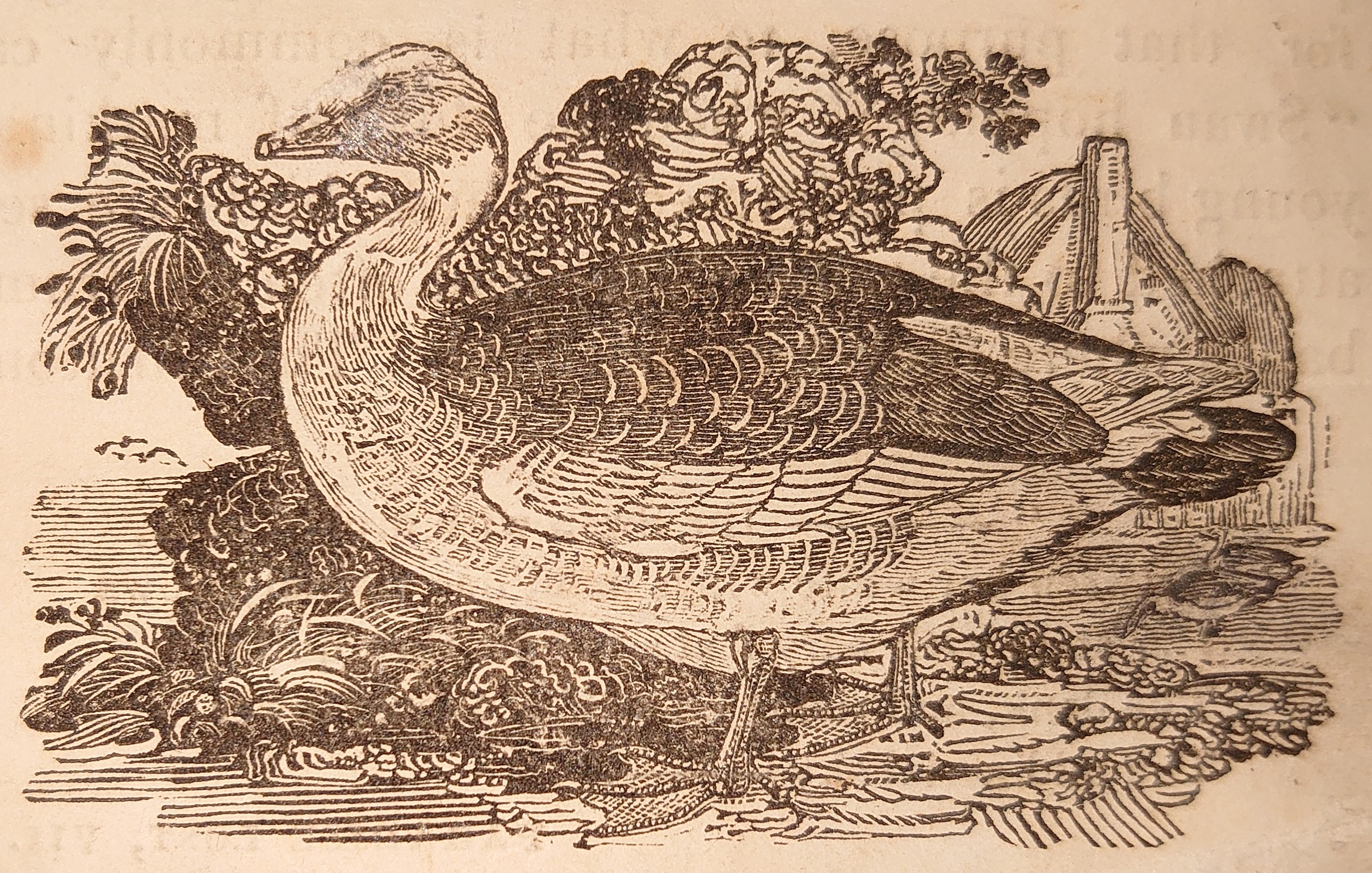 The Goose, pp.192-193. – Random Scottish History