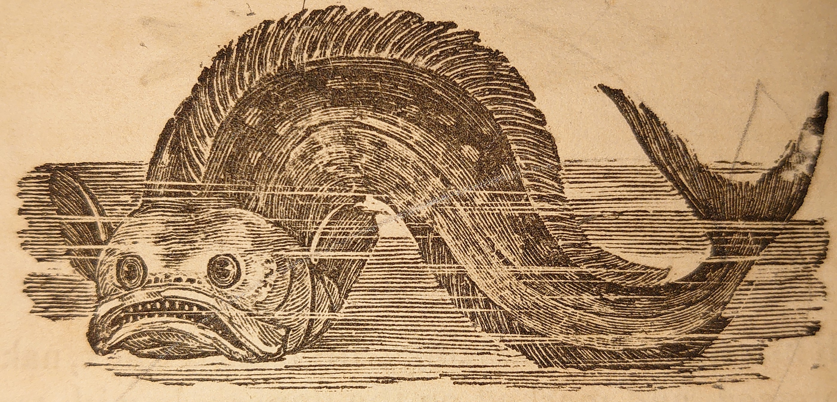 The Dolphin, pp.228-233. – Random Scottish History