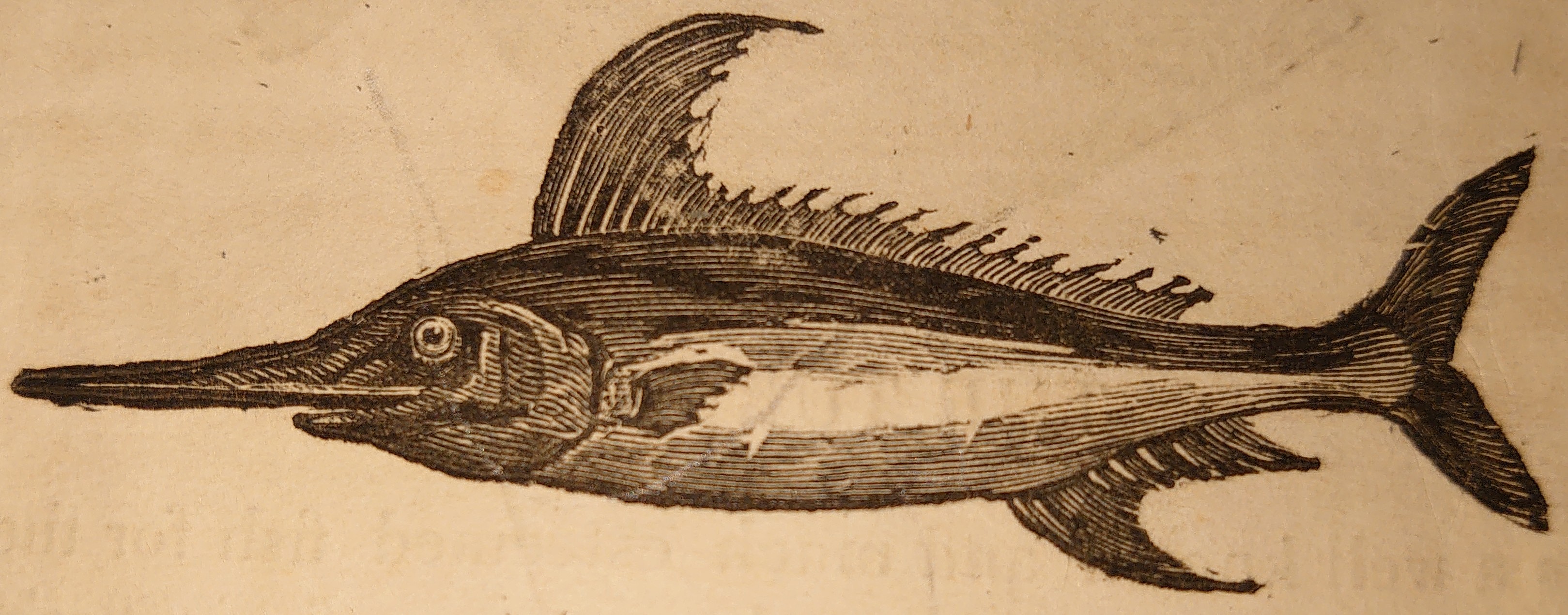 The Sword Fish, pp.238-239. – Random Scottish History