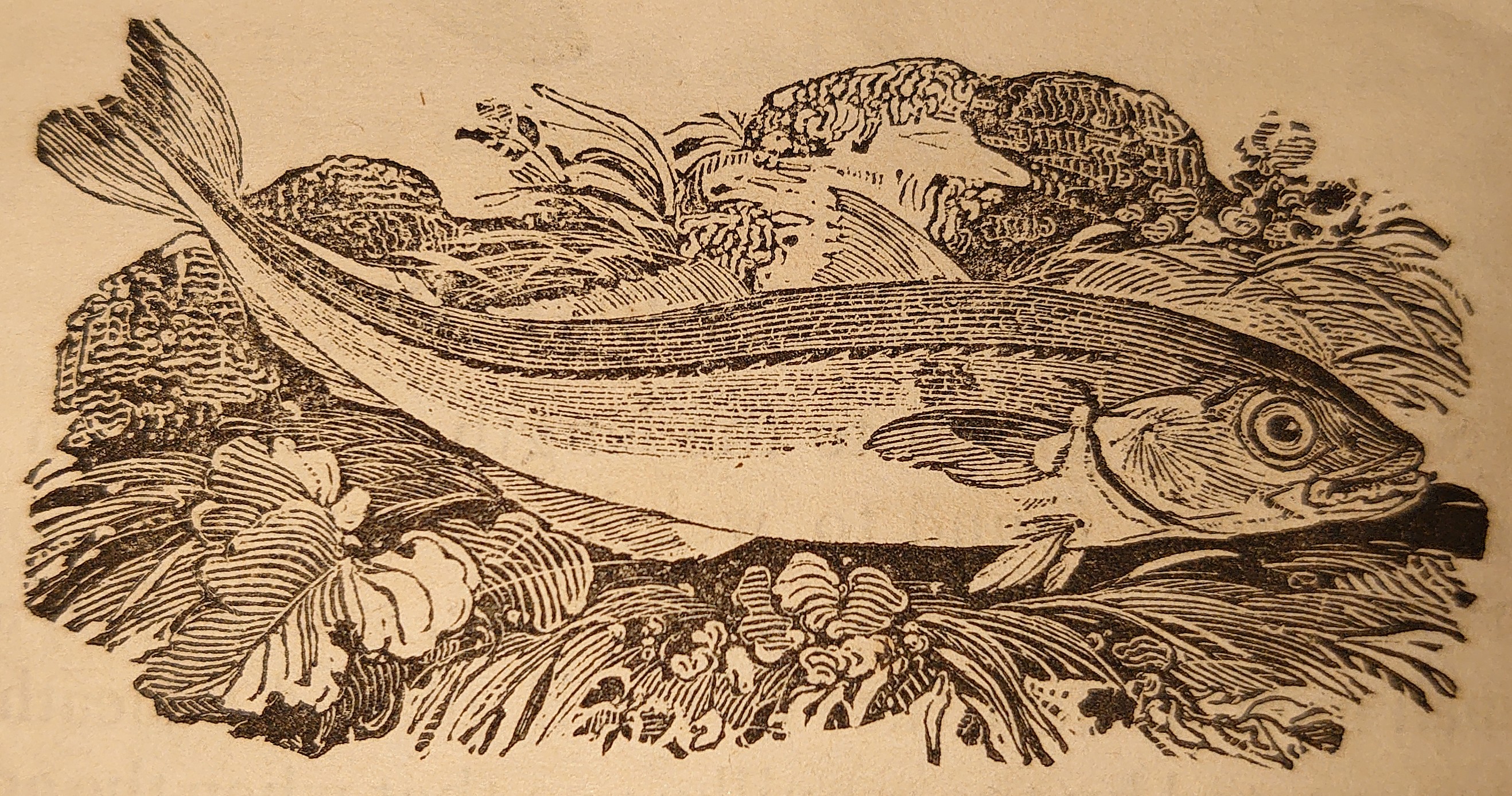 The Haddock, pp.242-243. – Random Scottish History