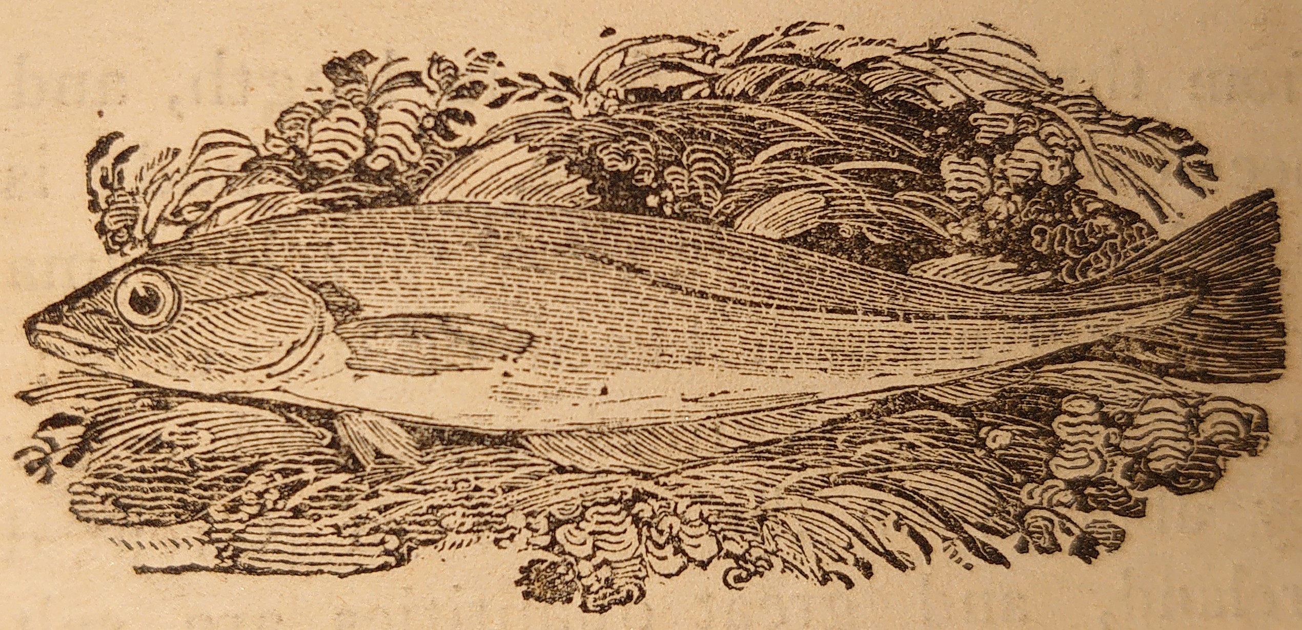 The Whiting, pp.243-244. – Random Scottish History